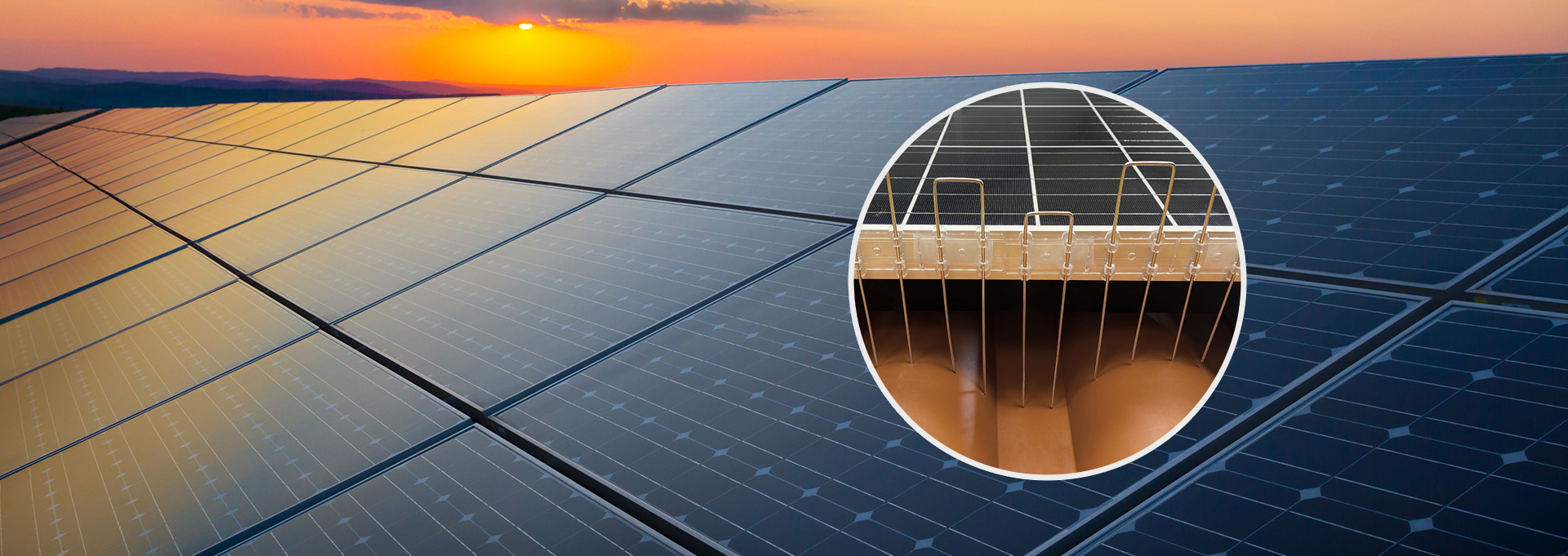 Genicco Srl - Pest control products supplier